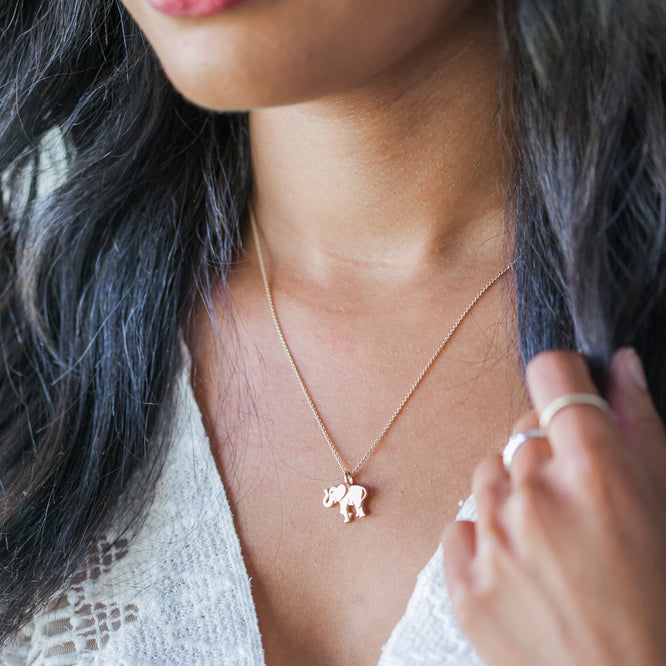 Best Sellers – CAJ